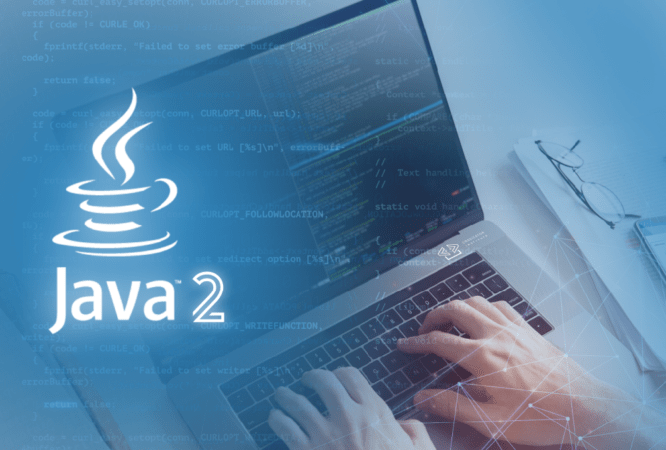 Our Courses - Codeicator